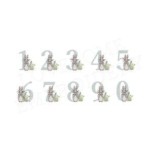 Numbers Peter Rabbit Quick Stitch 4inch 0-9 Machine Embroidery Numbers ...