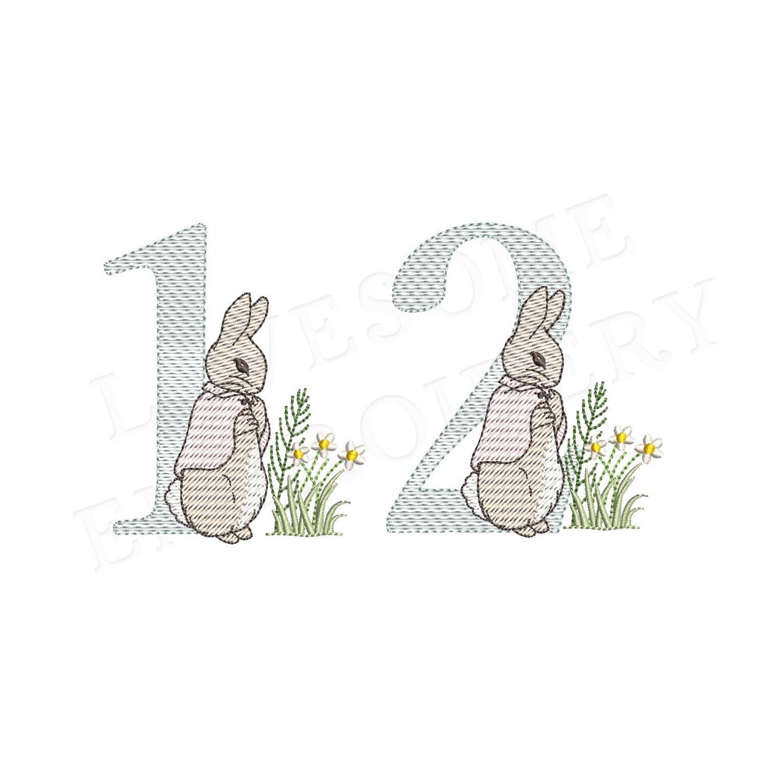 Numbers Cottontail Rabbit Quick Stitch 5inch 0-9 Machine Embroidery ...