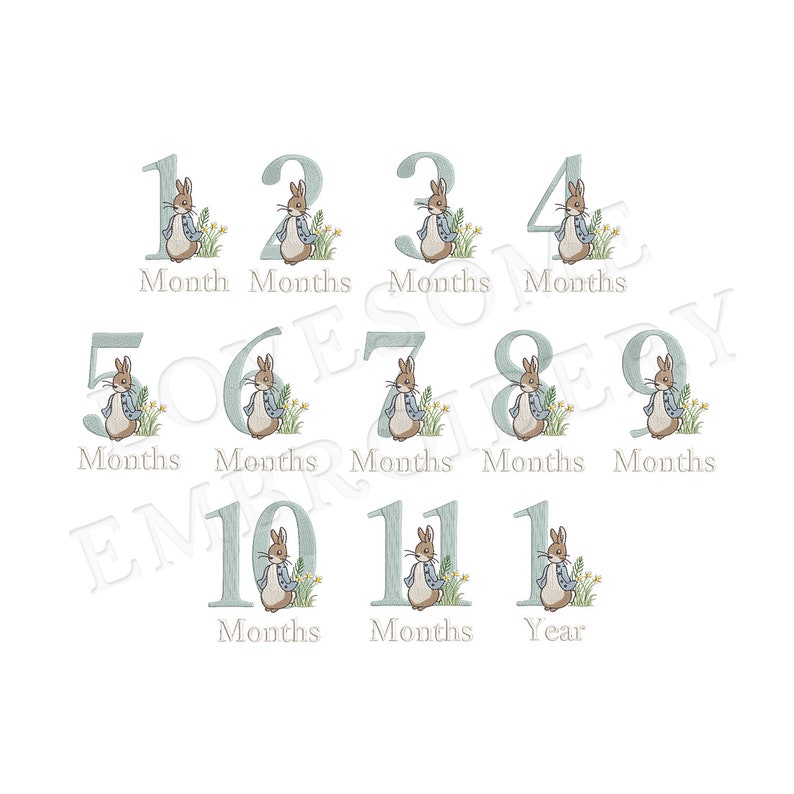 Milestones Peter Rabbit 4inch Embroidery Numbers Digital Download ...