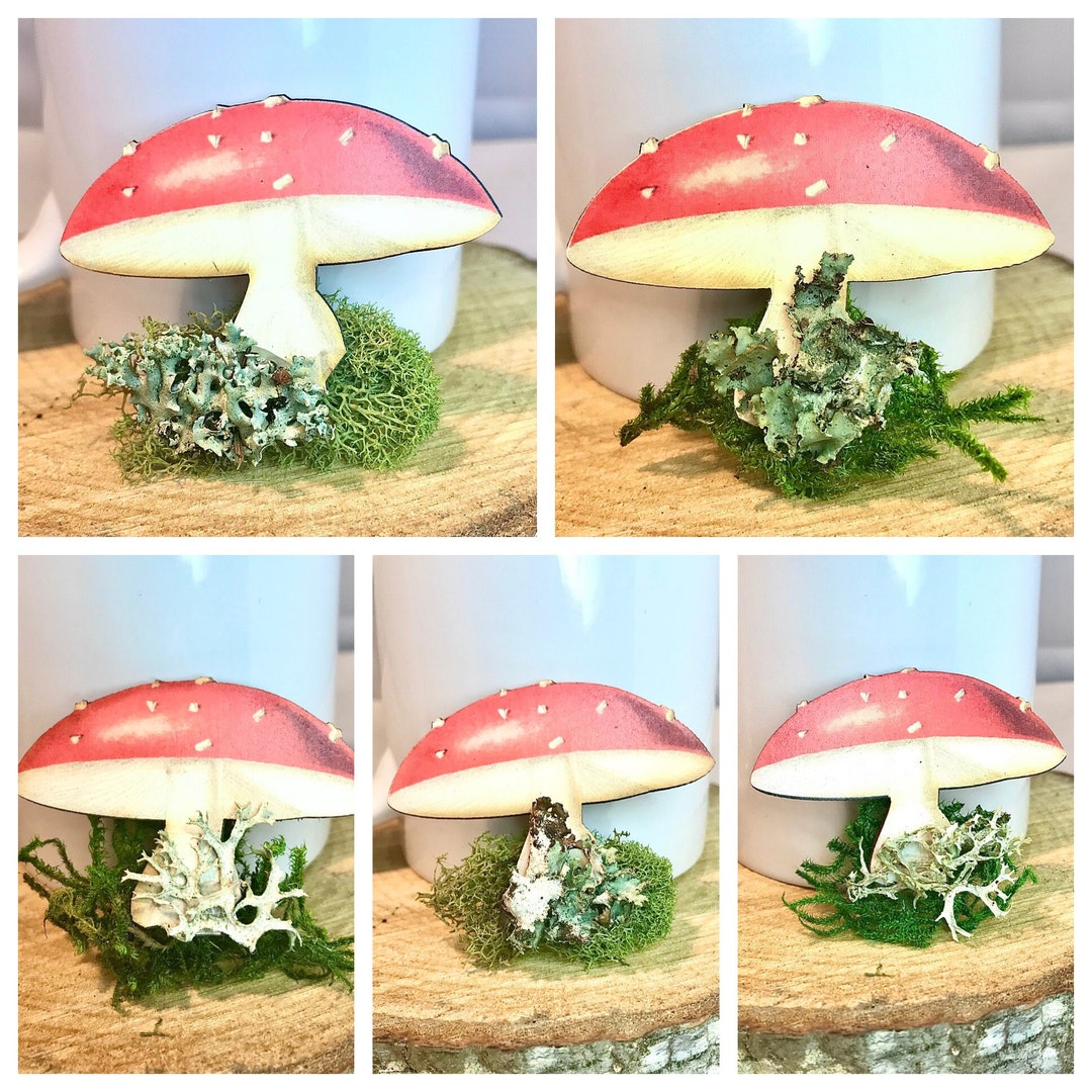 Mushroom Pin, Pins With Photos, Mushroom Pins With Fern Moss, Handmade ...