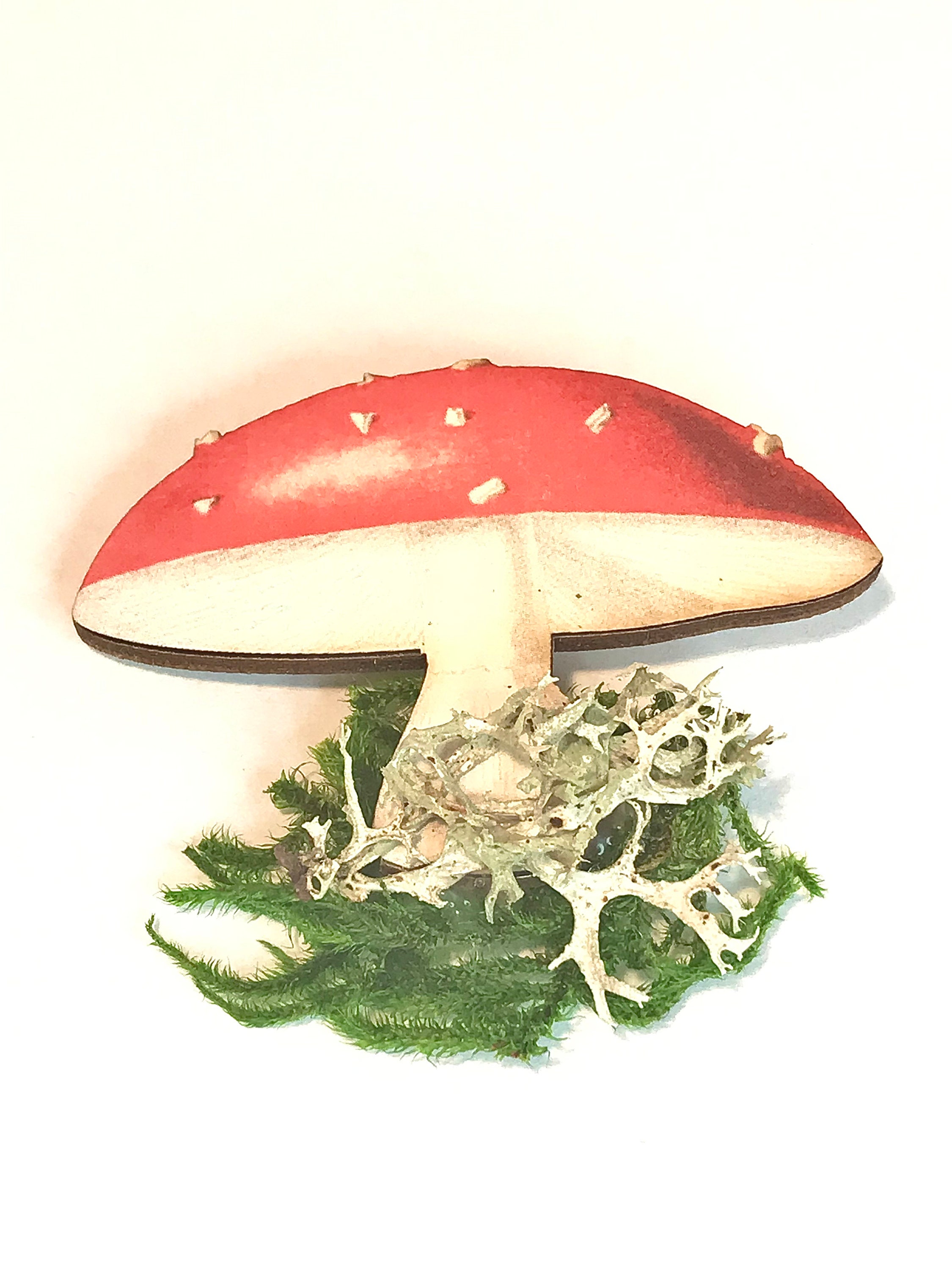 Mushroom Pin, Pins With Photos, Mushroom Pins With Fern Moss, Handmade ...