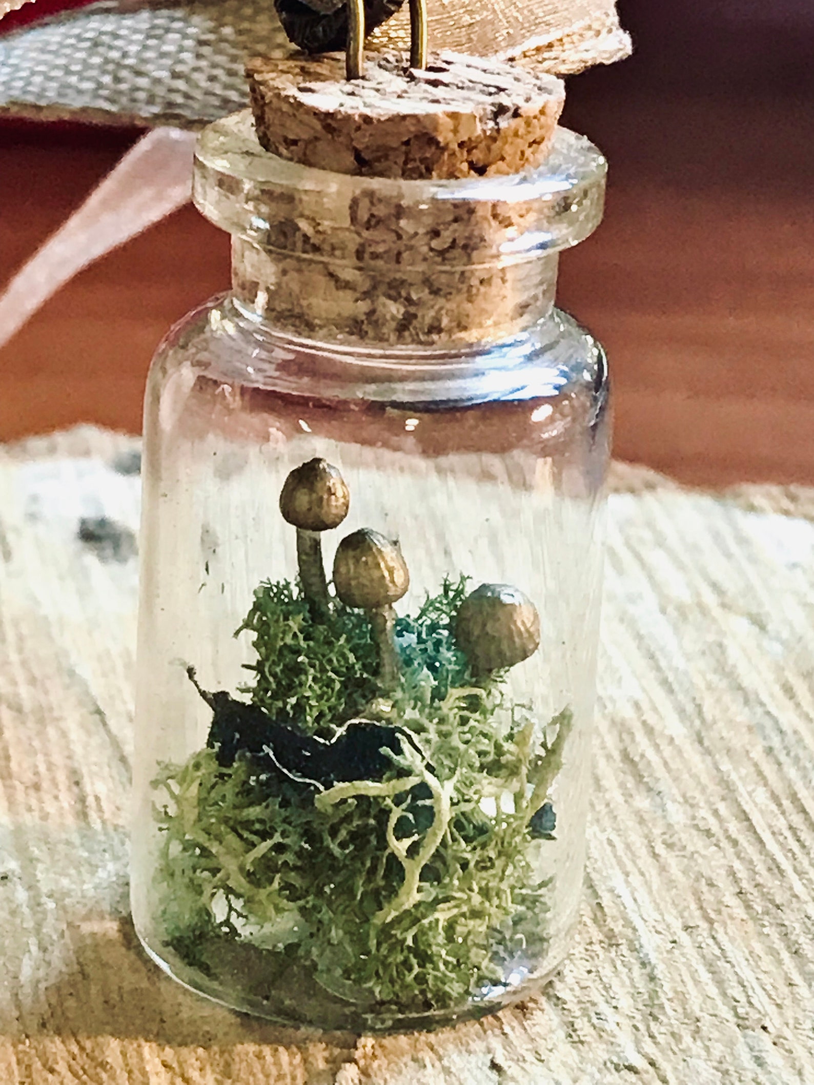Miniature Mushroom Necklace, Mini Terrarium Necklace, Mushroom Pendant ...