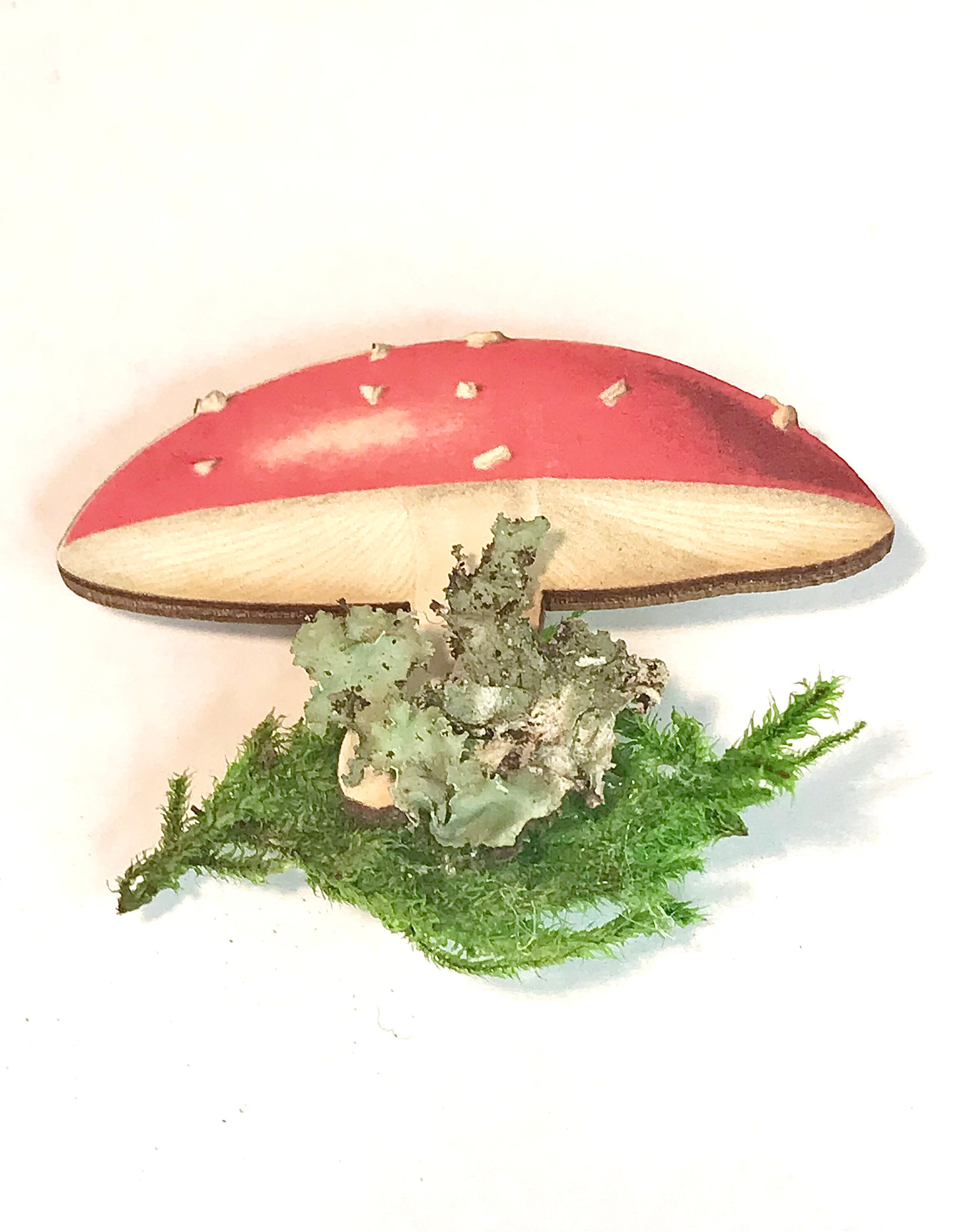Mushroom Pin, Pins With Photos, Mushroom Pins With Fern Moss, Handmade ...