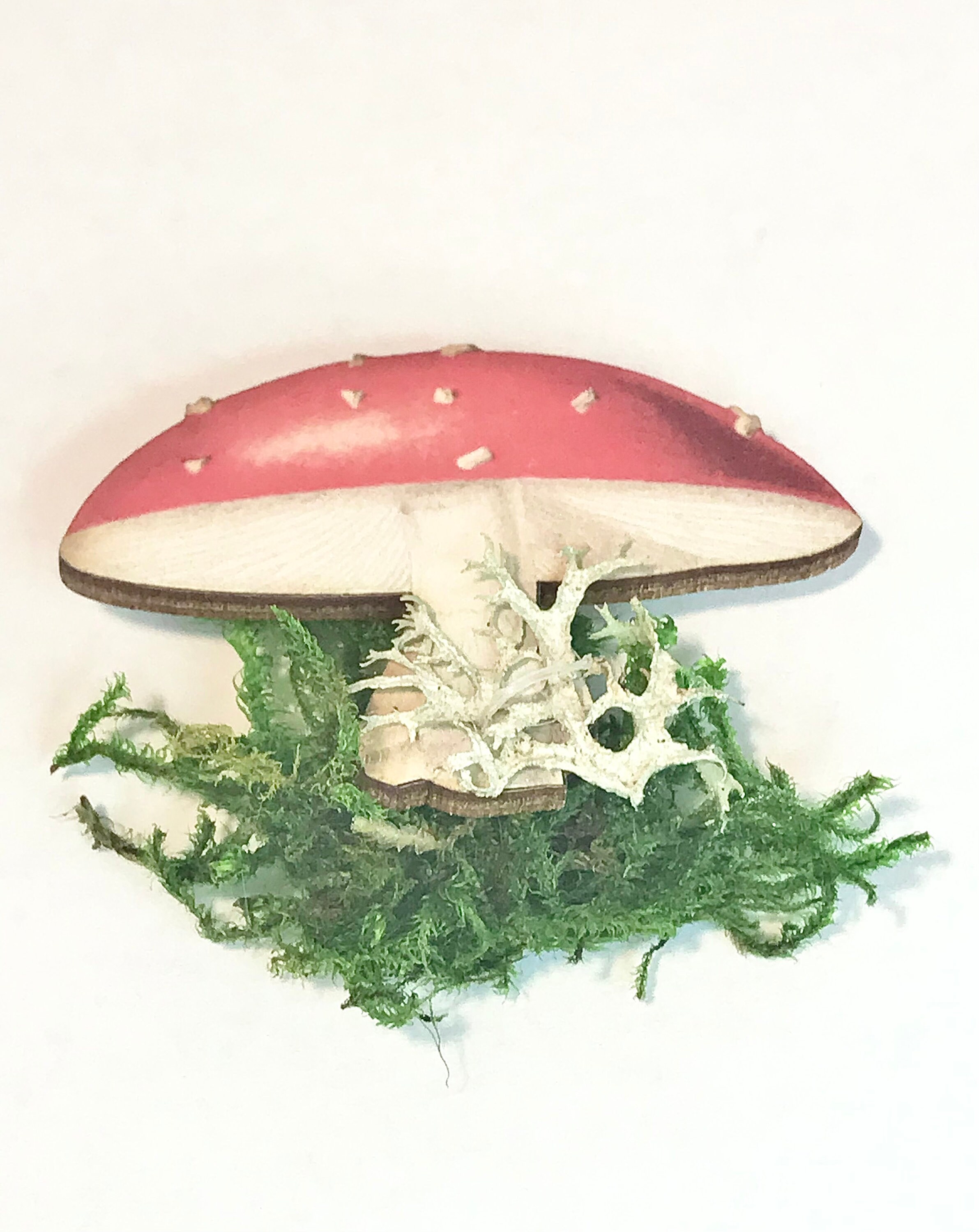 Mushroom Pin, Pins With Photos, Mushroom Pins With Fern Moss, Handmade ...