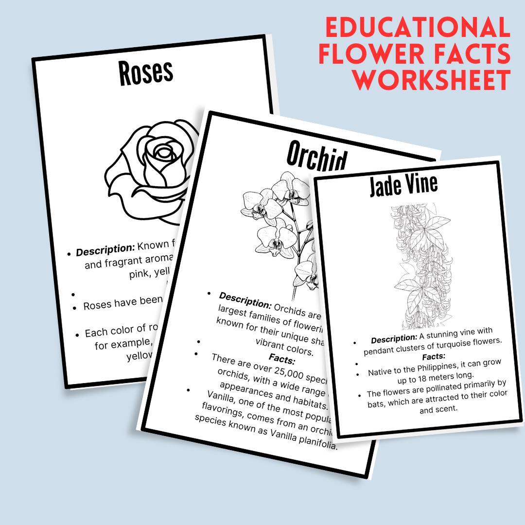 Educational Flower Facts Worksheet: From Roses to Blushing Bride Fun ...