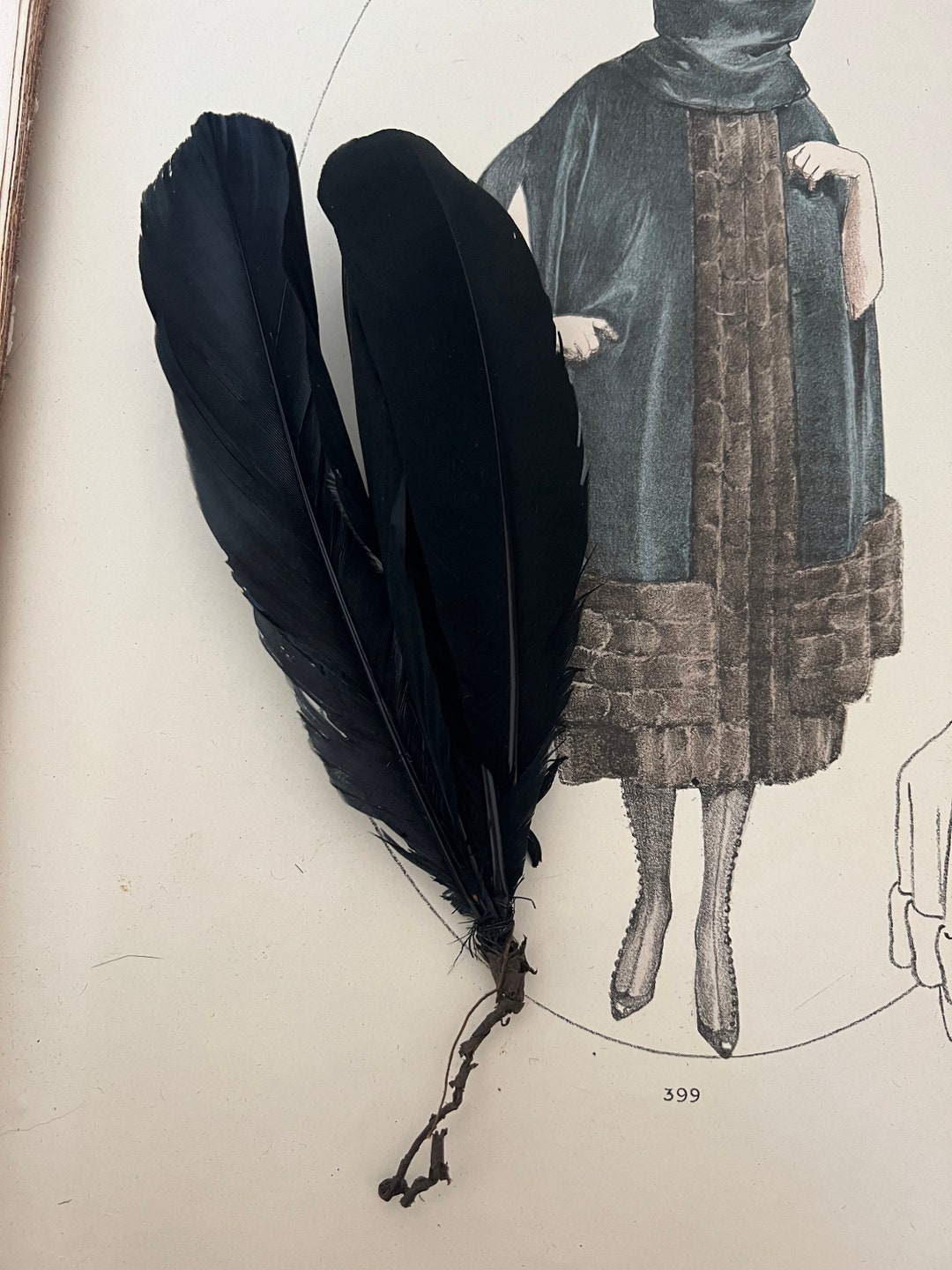 Antique Millinery Feather; Vintage. Hat Making Edwardian - Etsy