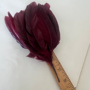 Antique Large Millinery Feather; Vintage. Hat Making Edwardian - Etsy