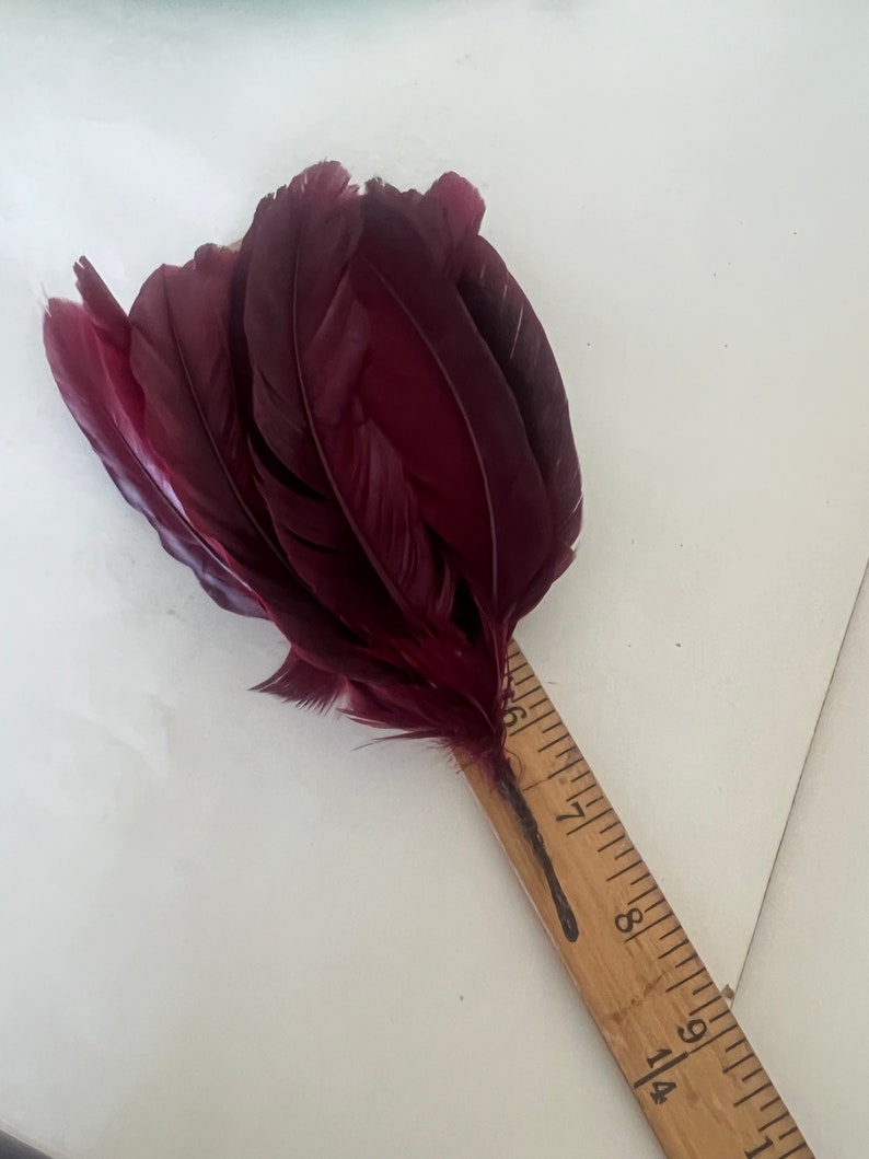 Antique Large Millinery Feather; Vintage. Hat Making Edwardian - Etsy