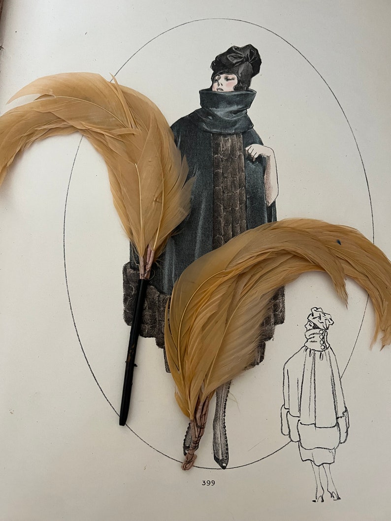 Antique Millinery Feather; Vintage. Hat Making Edwardian - Etsy