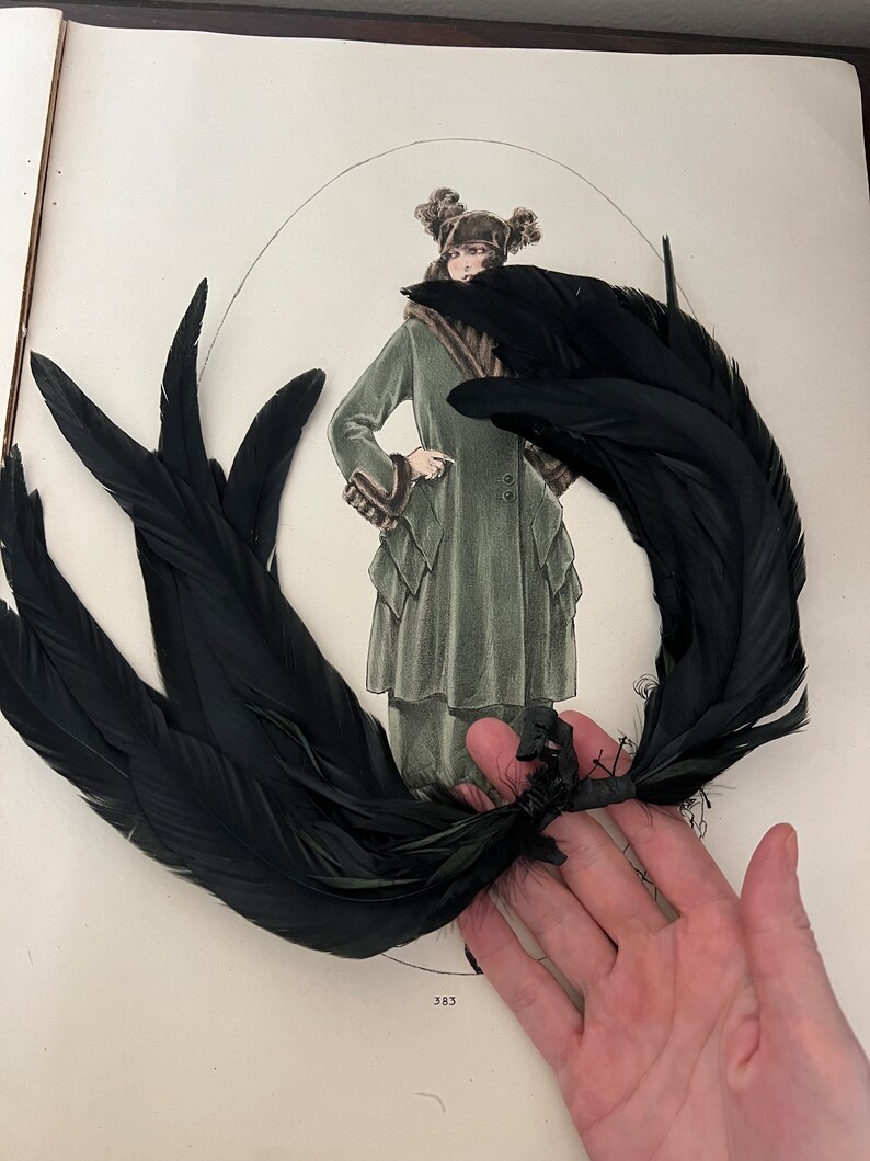 Antique Large Millinery Feather; Vintage. Hat Making Edwardian - Etsy