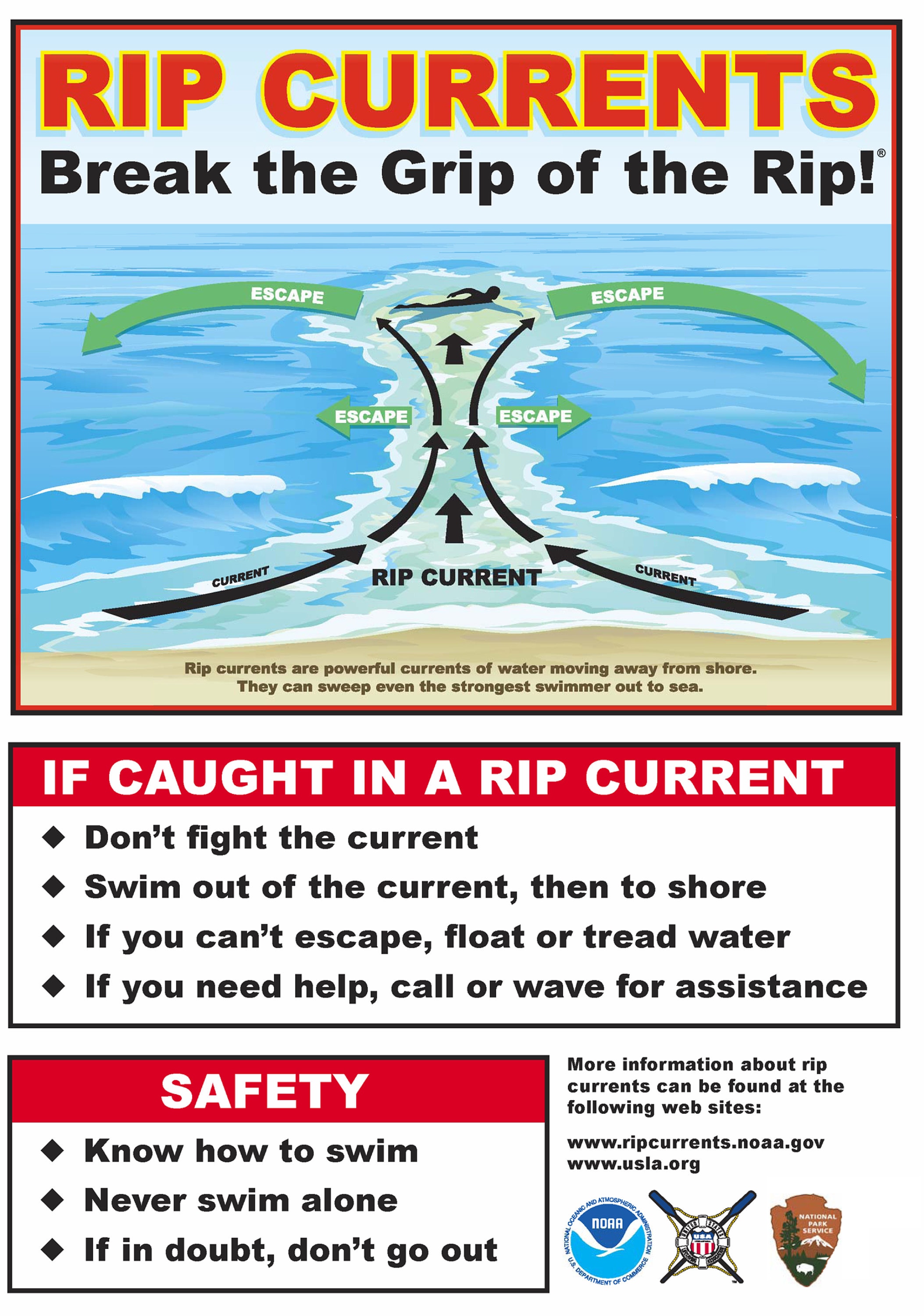 Rip Currents Break the Grip of the Rip Poster Art Beach Surf Safety ...