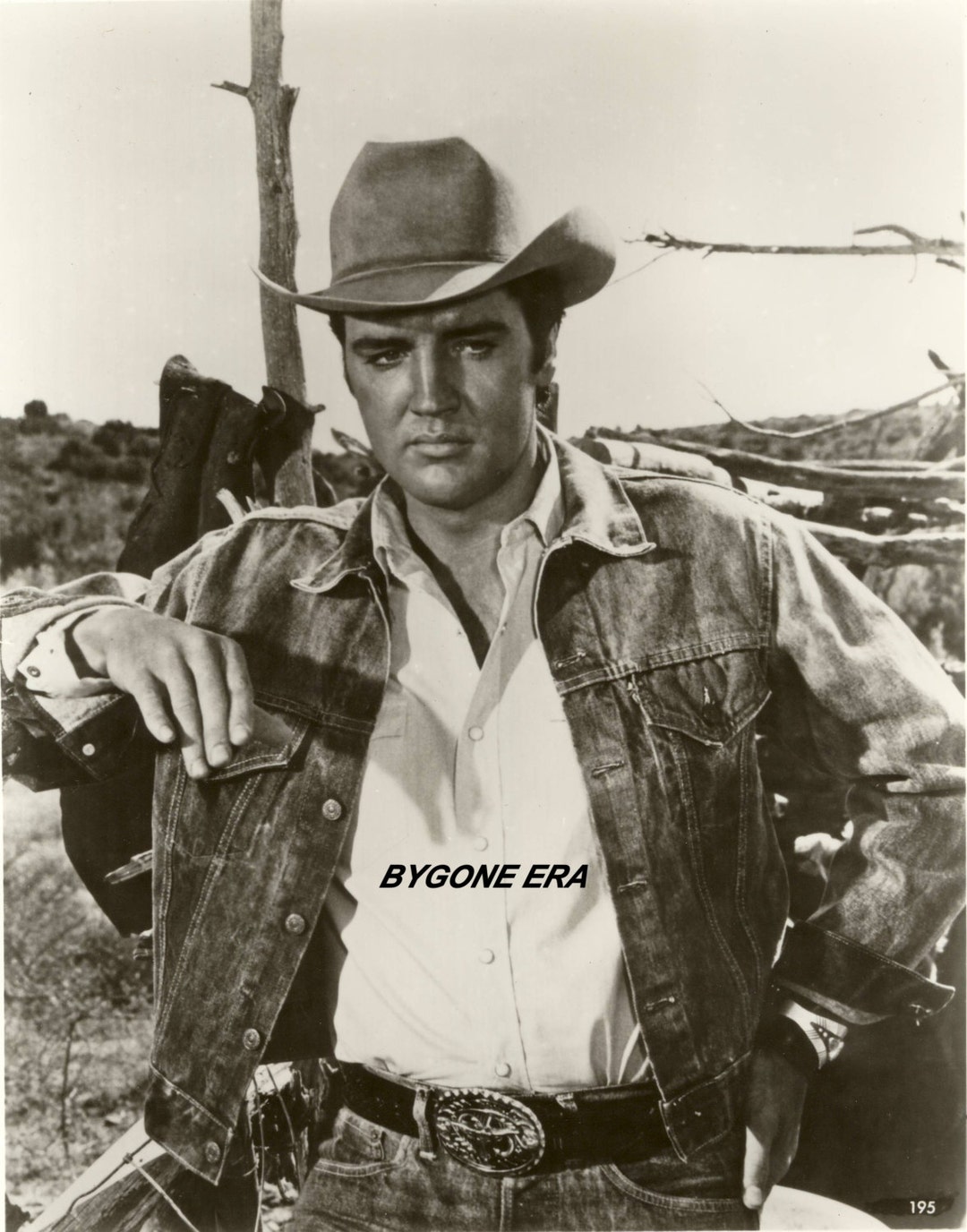 Elvis Presley Cowboy Western Hollywood Photo Art Poster Artwork 11x14 ...