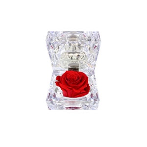 PRESERVED ETERNAL ROSE Ring Box Wedding Engagement Proposal Gift Bride ...