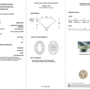 4ct Cluster Diamond Earrings Omega Back, F-VS1 IGI Certified Lab Grown ...