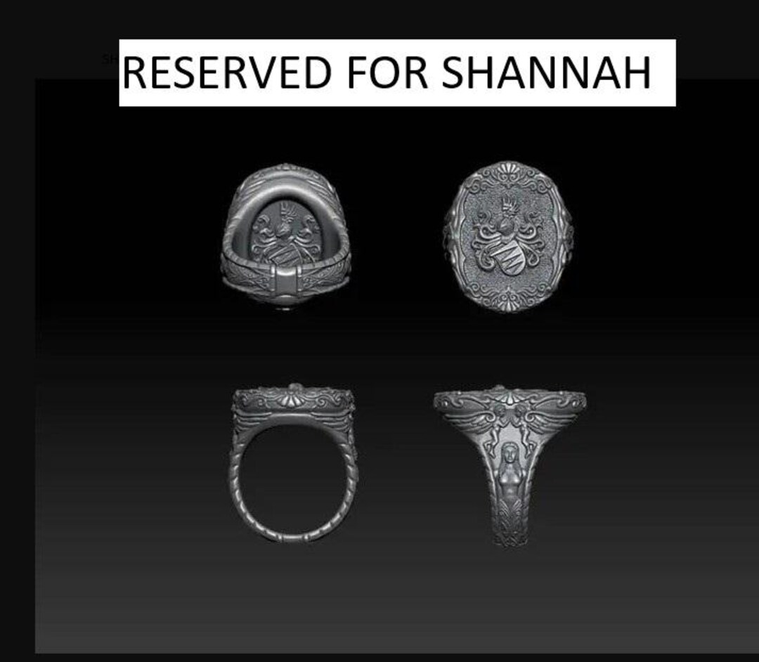 Custom 3D Design for Shannah - Etsy