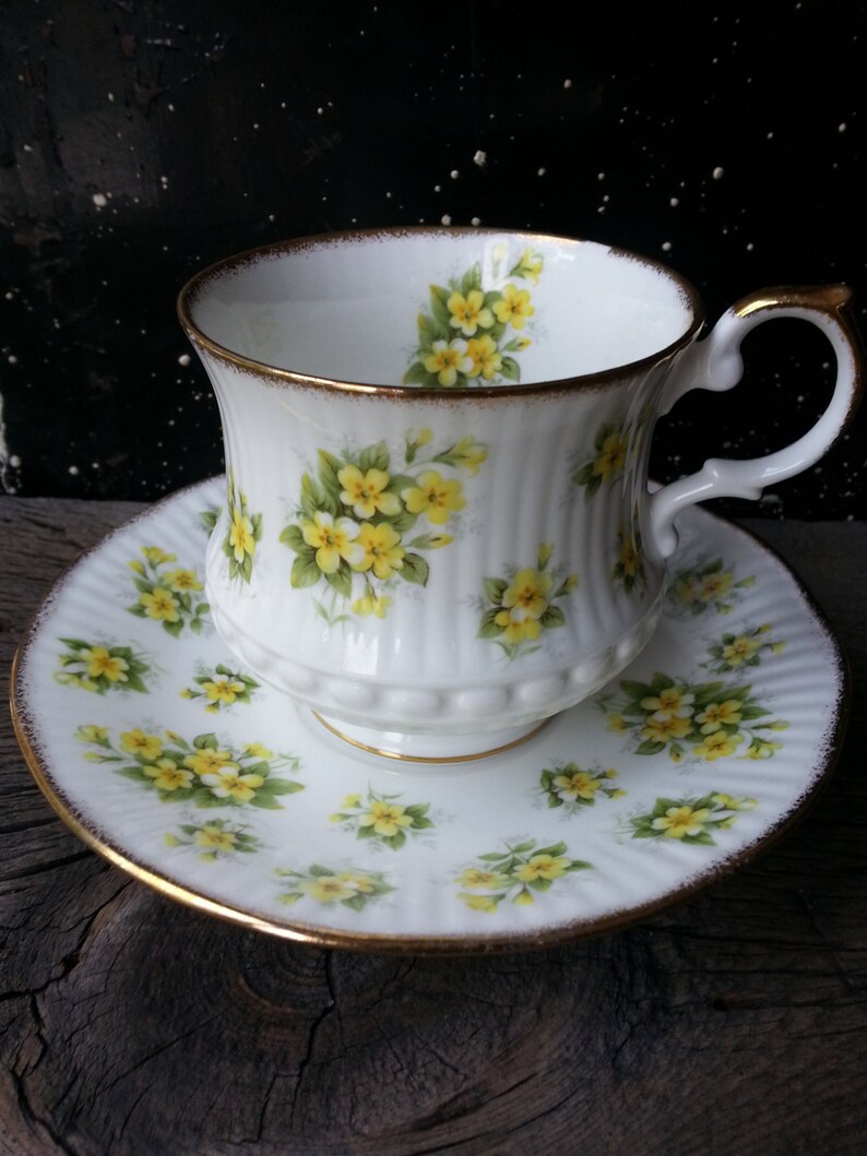 Vintage Queen's China "primrose" Part of the "bountyside Series" Footed ...