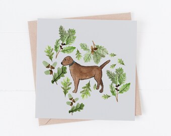 Superhero Chocolate Labrador, Super Hero Dog, Dog in a Cape and Mask ...