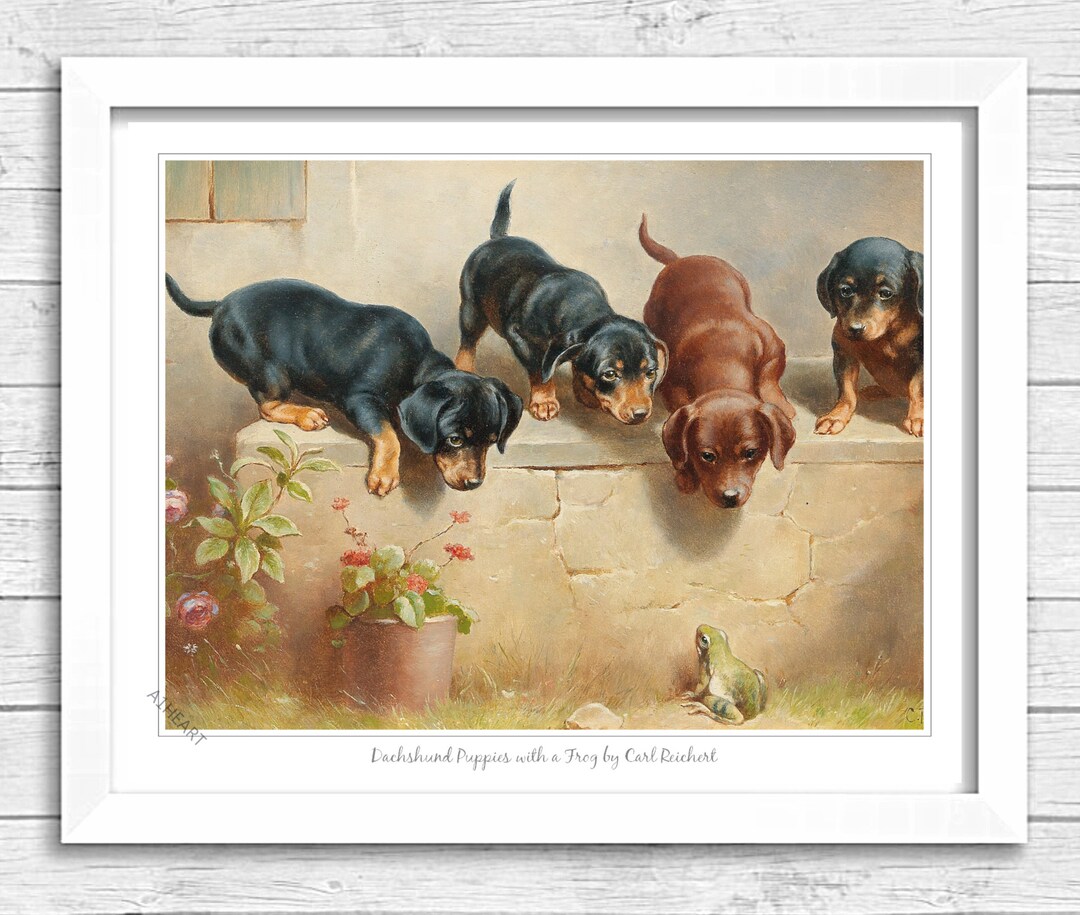 Dachshund Puppies by Carl Reichert Poster Print. Dogs Looking at the ...