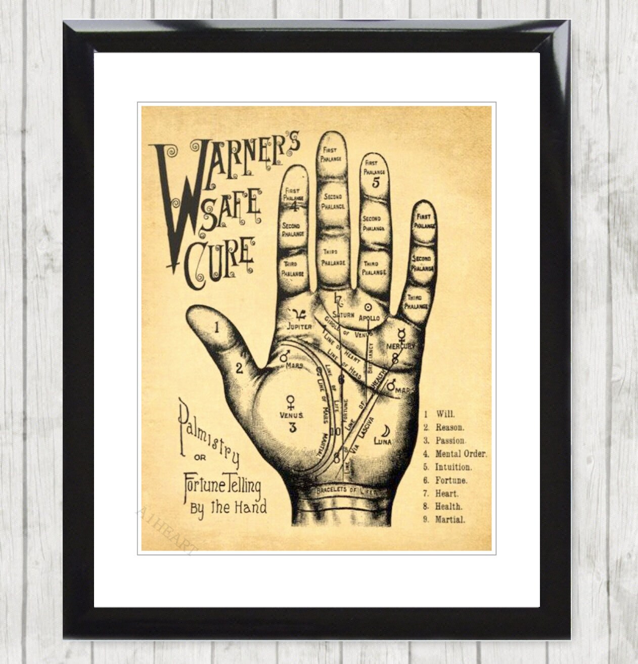 Vintage Palm Reading Sign