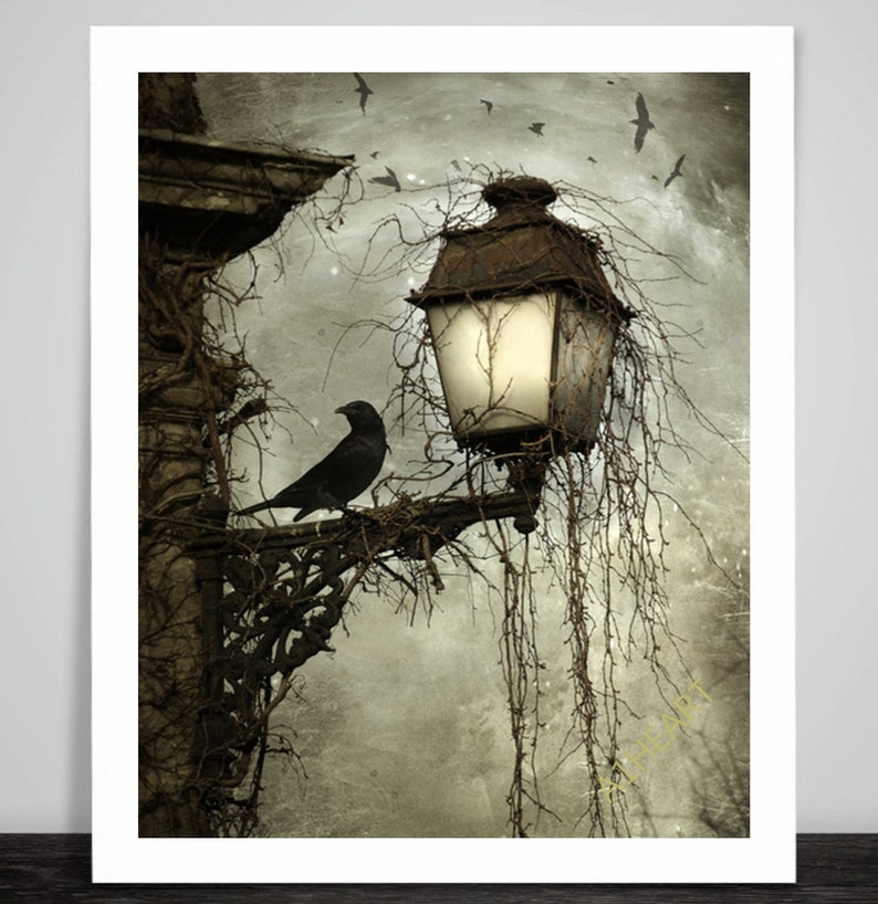 Bird on a Lantern by Arthur Rackham. Poster Print. Lamp Light Crow ...