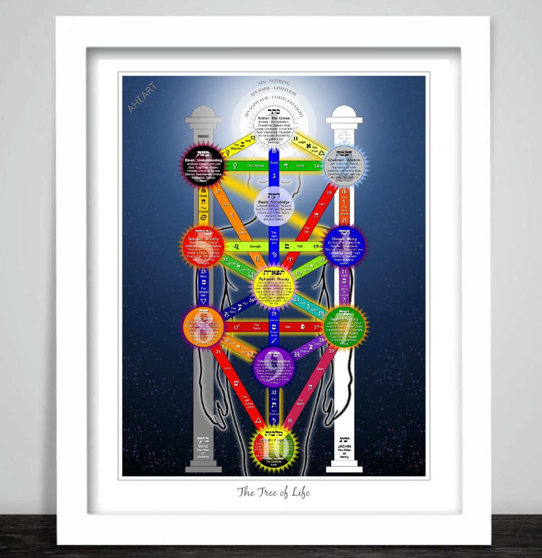 The Tree of Life by A. Garner Poster Art Picture Print. Qabalistic ...