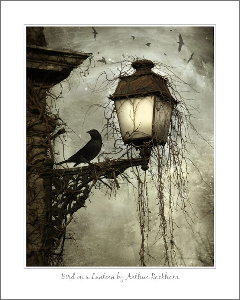 Bird on a Lantern by Arthur Rackham. Poster Print. Lamp Light Crow ...