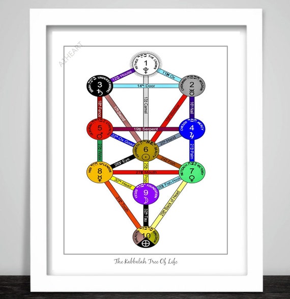 Kabbalah Tree Of Life Poster