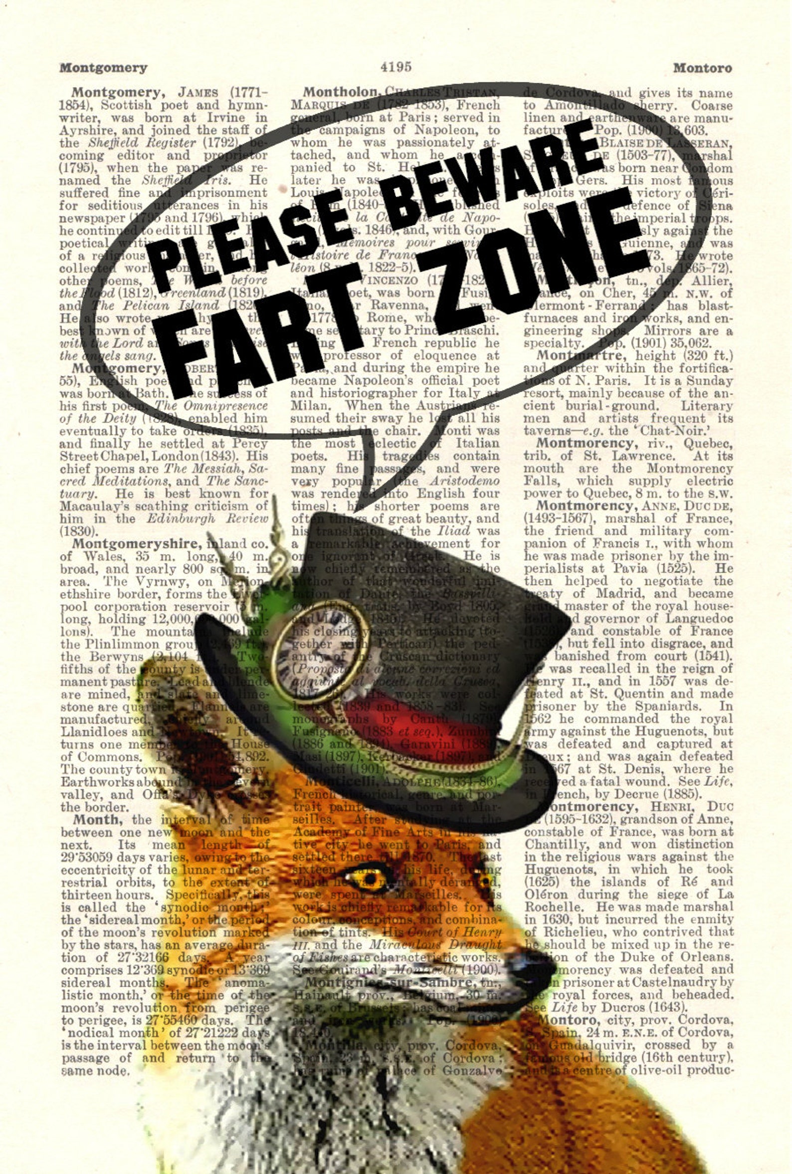 Toilet Bathroom Sign Beware Fart Zone Dictionary Page - Etsy UK