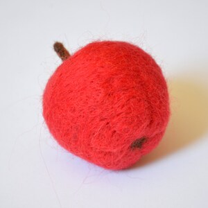 Felt Apple, Felted Apple, Needle Felted Woolen Fruit, Felt Apple ...
