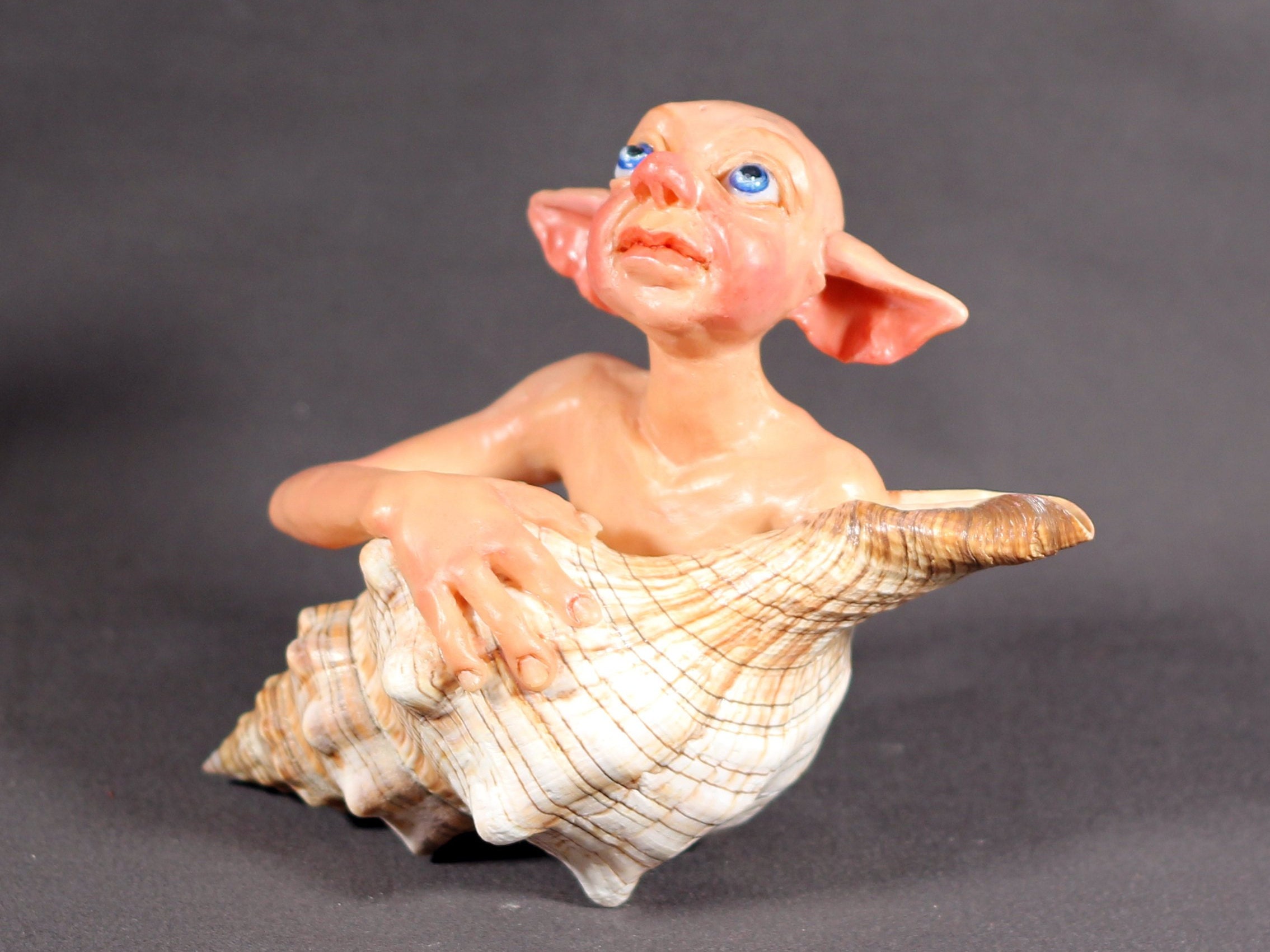 Wtatsup Shell Dweller. Seashell Hermit. Shell Monster. Funny - Etsy