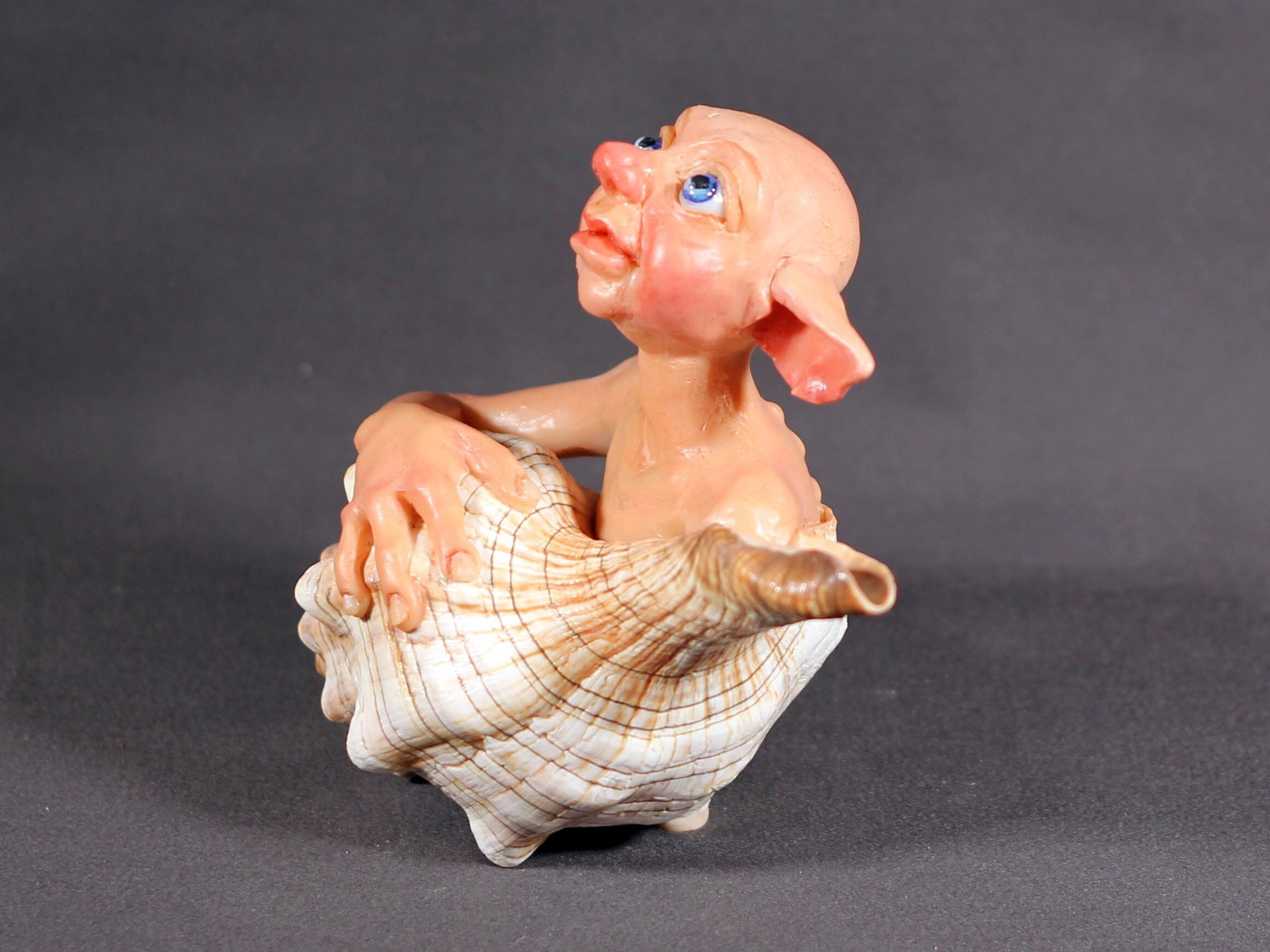 Wtatsup Shell Dweller. Seashell Hermit. Shell Monster. Funny - Etsy