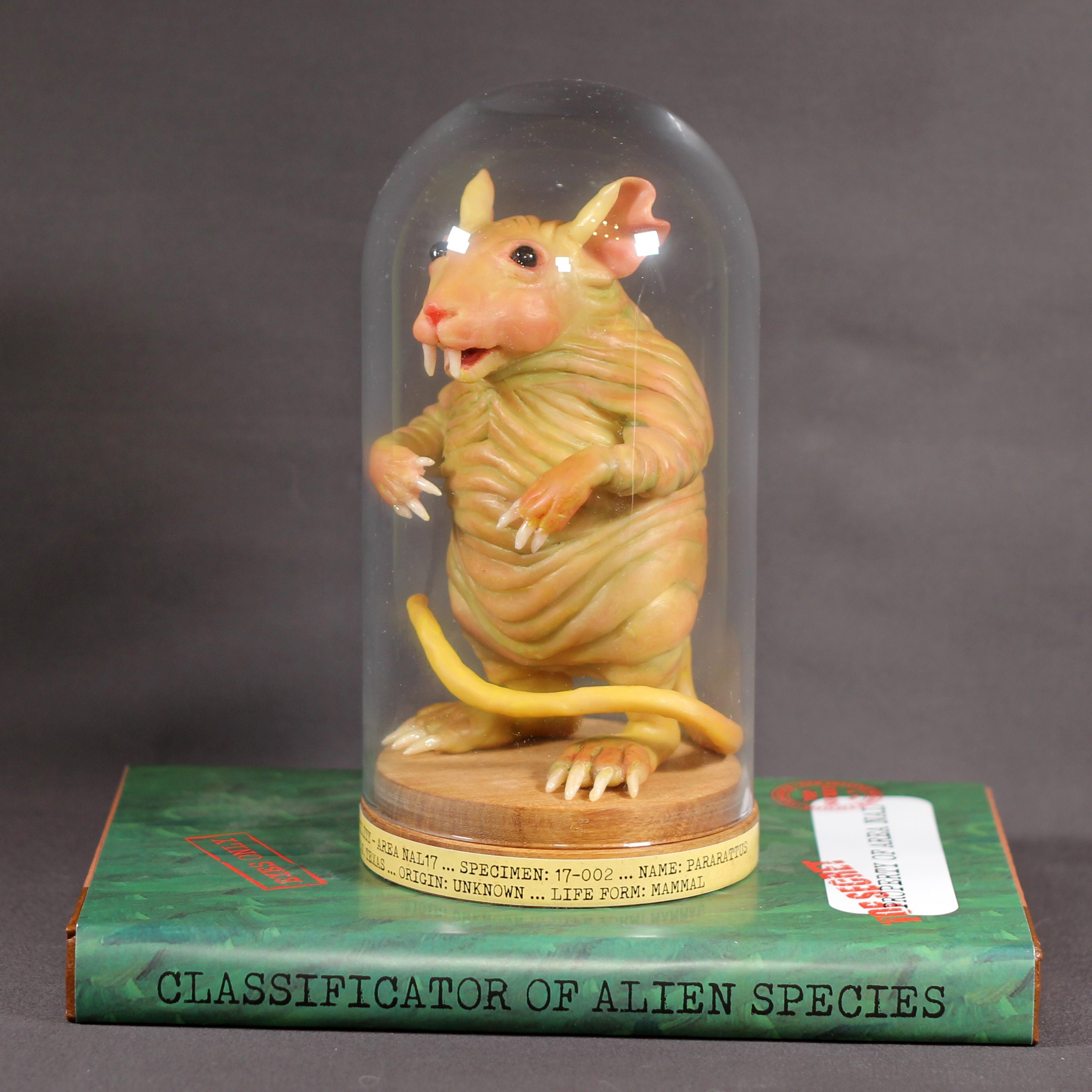 Alien Specimen 17-002 Mutant Specimen in a Jar. Funny - Etsy Canada