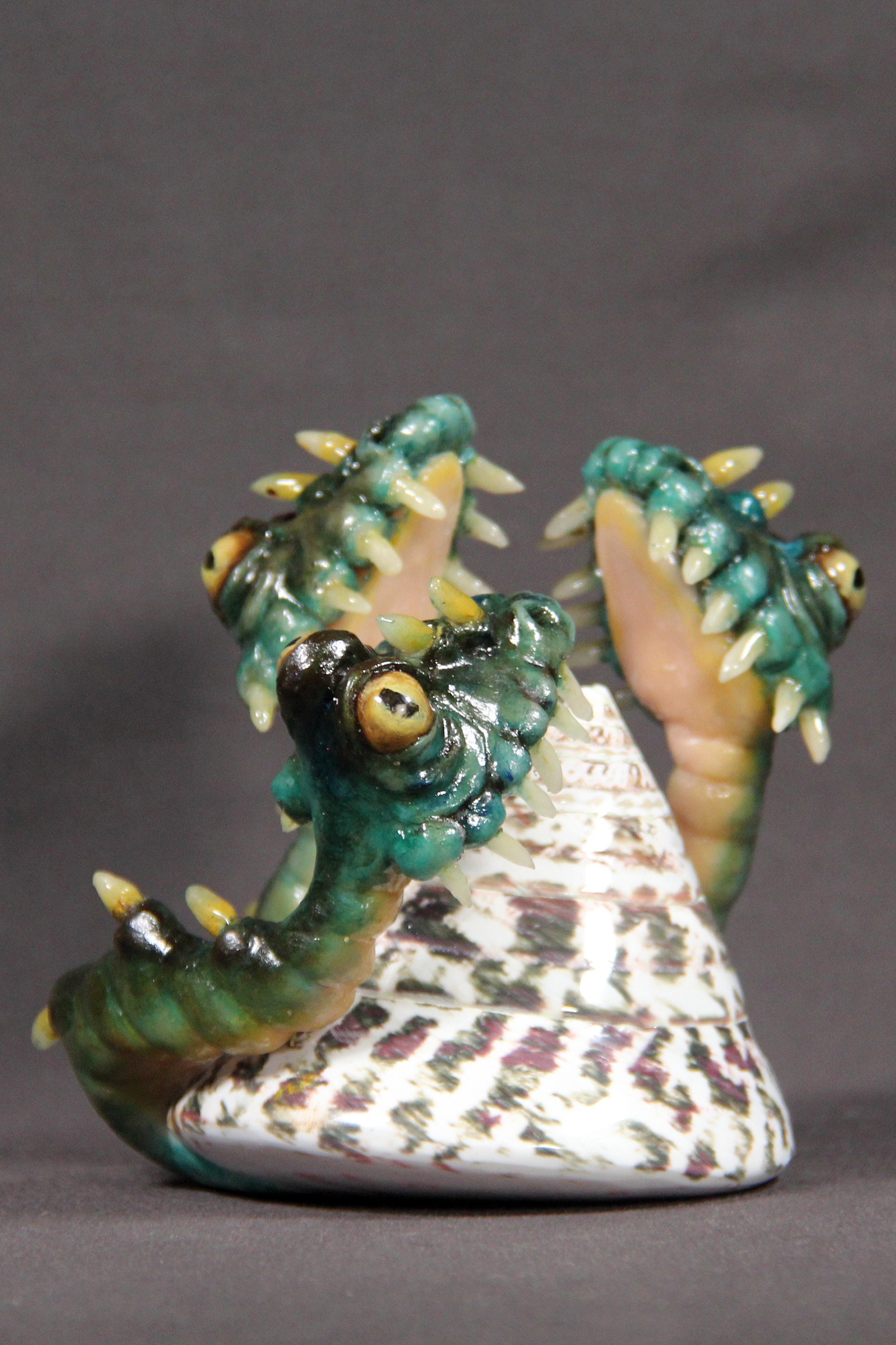 Seashell Dragon Alien Shell Dweller. Seashell Hermit. Shell - Etsy