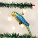 Old World Christmas Parakeet Pet Bird Glass Christmas Ornament 16038 - Etsy