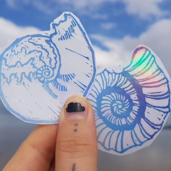 Iridescent Ammonite - Etsy