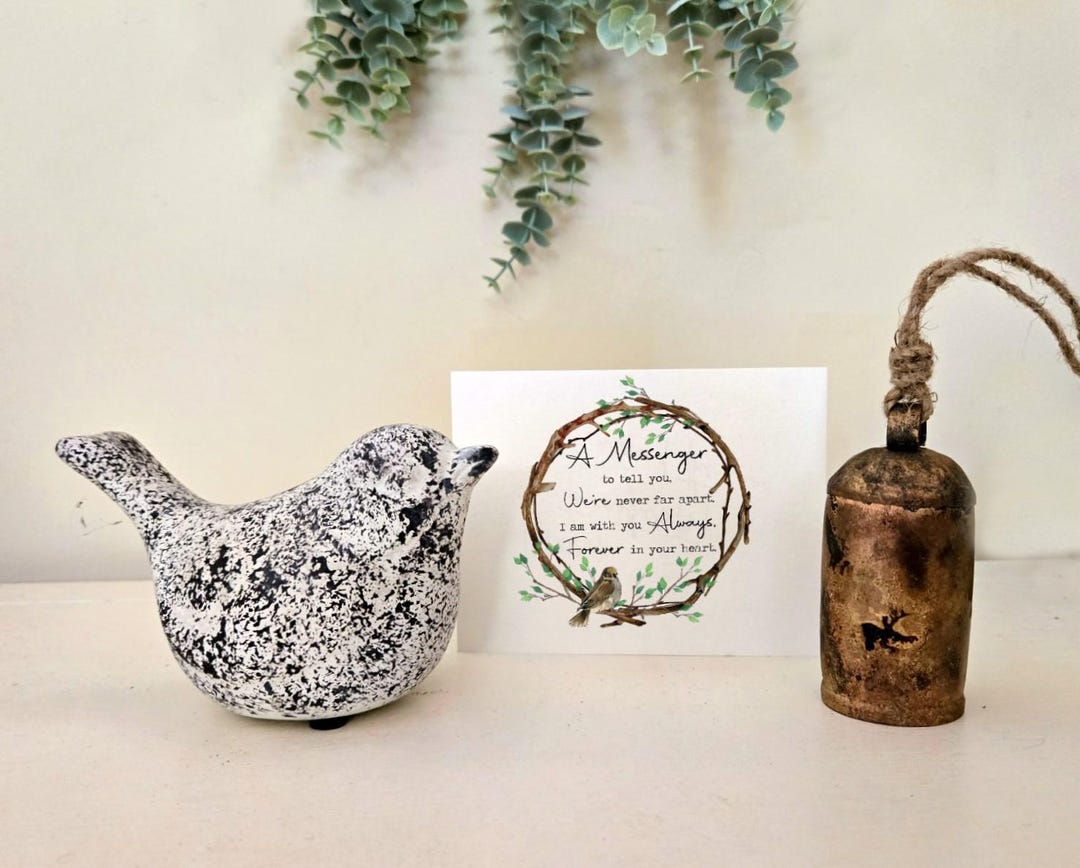 COMFORT Sympathy Bird Gift Set, Messenger for Loss of Loved One ...
