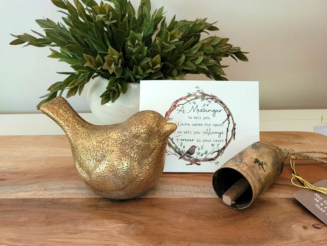 COMFORT Sympathy Bird Gift Set, Messenger for Loss of Loved One ...