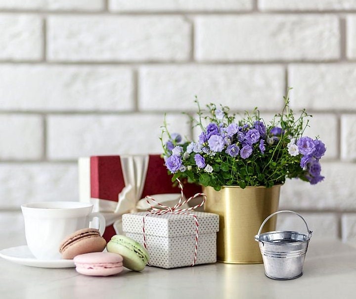 10 Mini Beach Pails, Mini Tin Pail Bucket Party Favor (10 Pcs), Mini ...