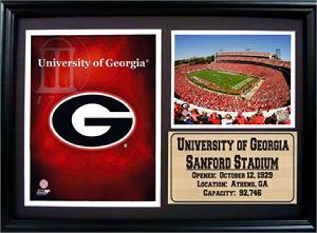University of Georgia Logo and Stadium Photo on a 12x18 Deluxe Frame - Etsy