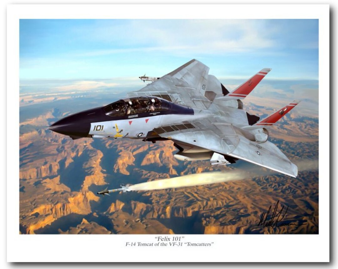 Felix 101 by Mark Karvon, an F-14 Tomcat of the VF 31 Tomcatters Giclee ...