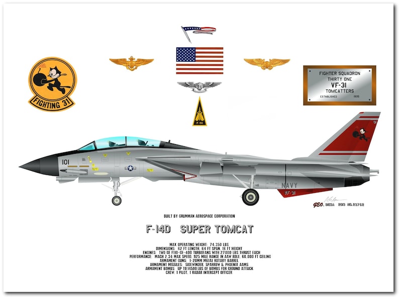F-14D Tomcat as Flown by the VF 31 Tomcatters, a US Navy Fighter ...