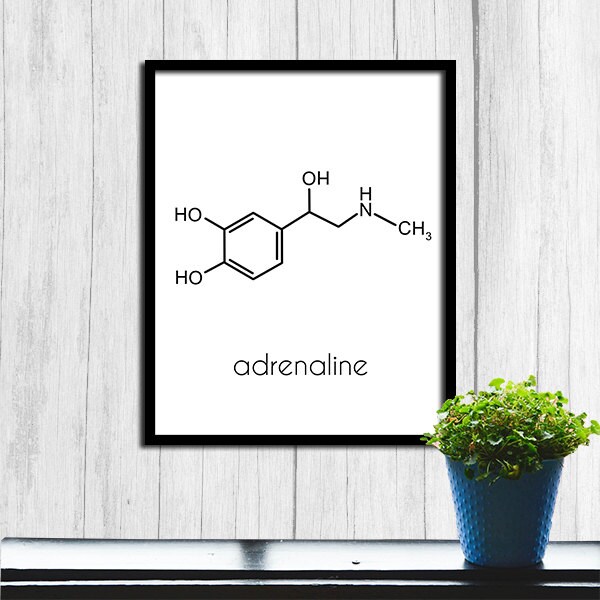 Adrenaline Molecule Art Digital Download Adrenaline Print - Etsy