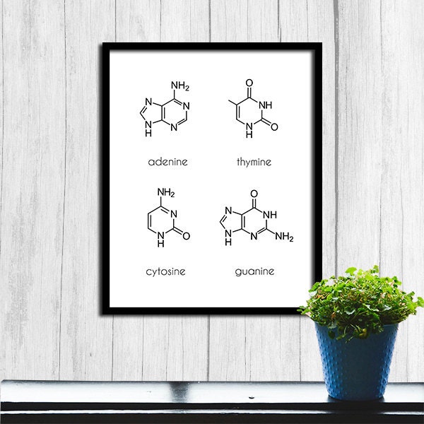 Science Art Print Digital Download Molecule Art Poster - Etsy