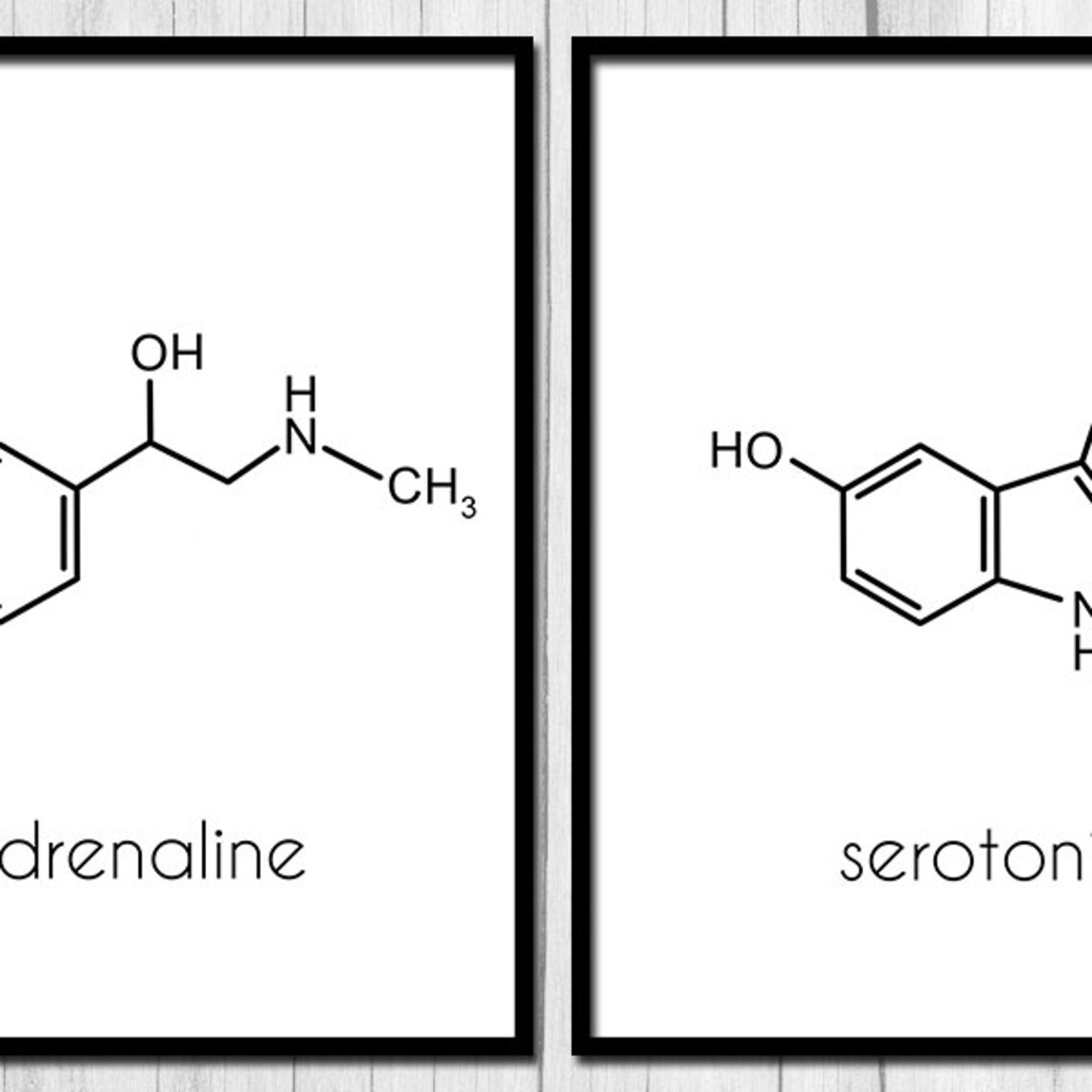 DNA Art DNA Poster Nucleotides Printable Art Science Art Nucleotide ...