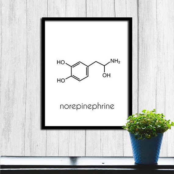 Norepinephrine Molecule