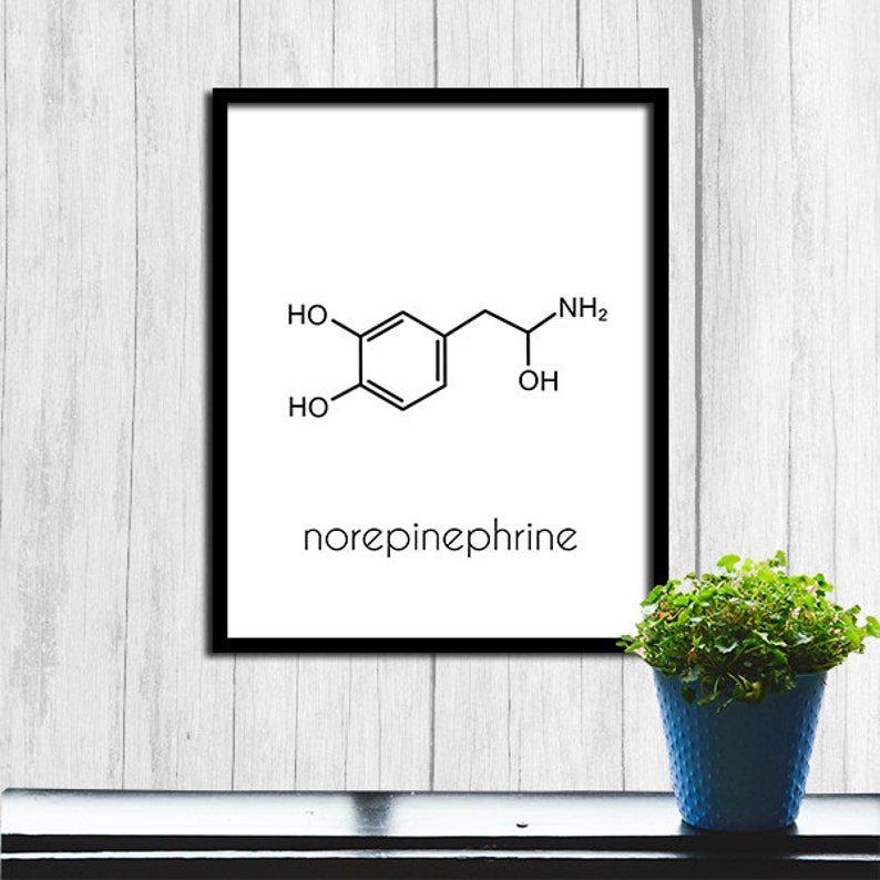Norepinephrine Molecule Art Digital Download Norepinephrine Print ...