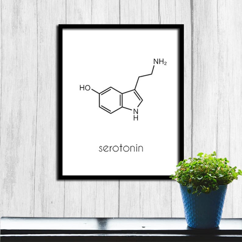 Serotonin Molecule Print Digital Download Serotonin Print Gift for ...