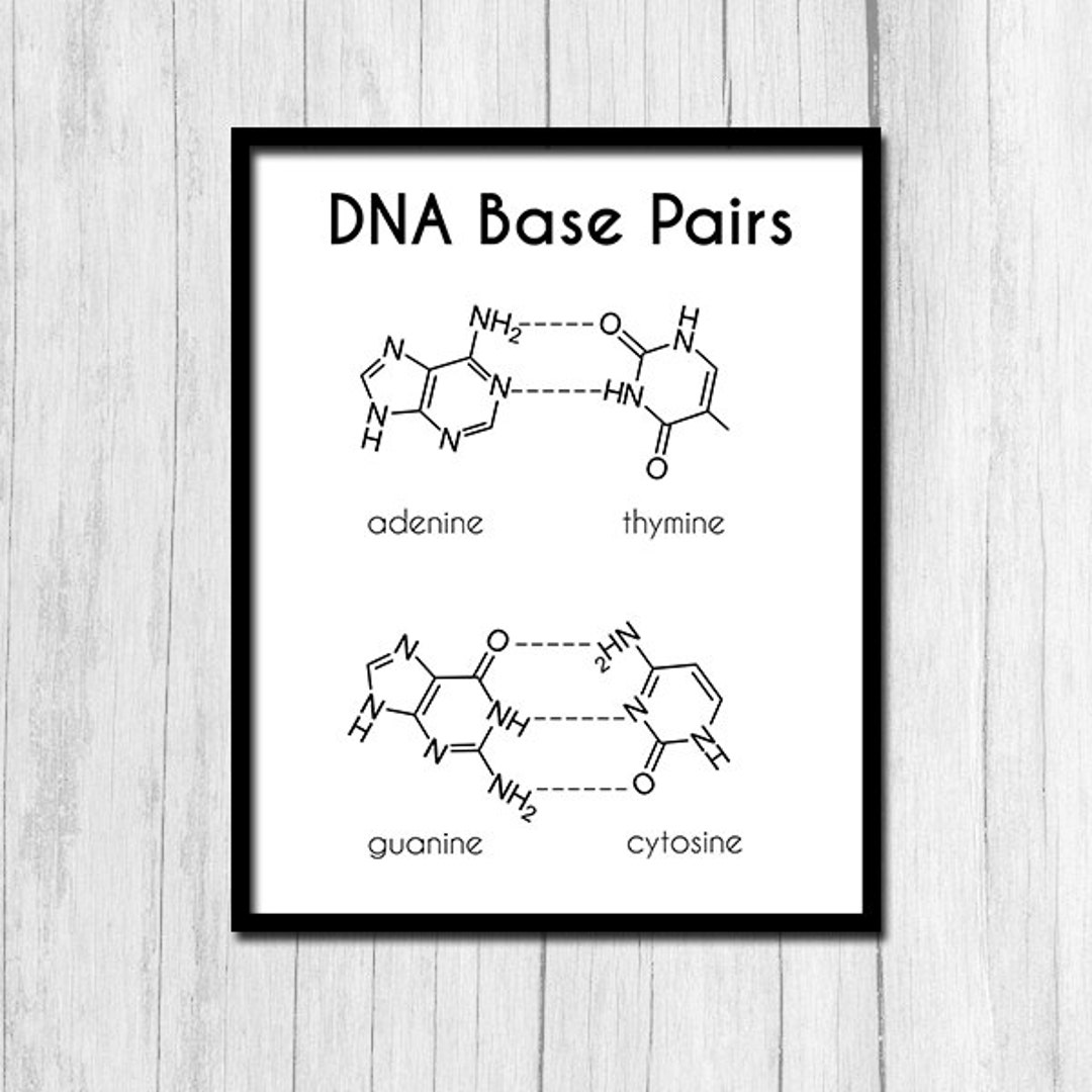 Biology Art DNA Printable Art DNA Digital Download Geneticist Art Gift ...