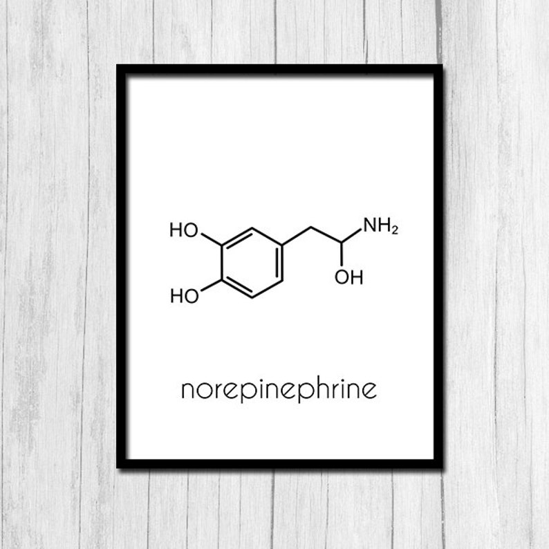 Norepinephrine Molecule Art Digital Download Norepinephrine Print ...