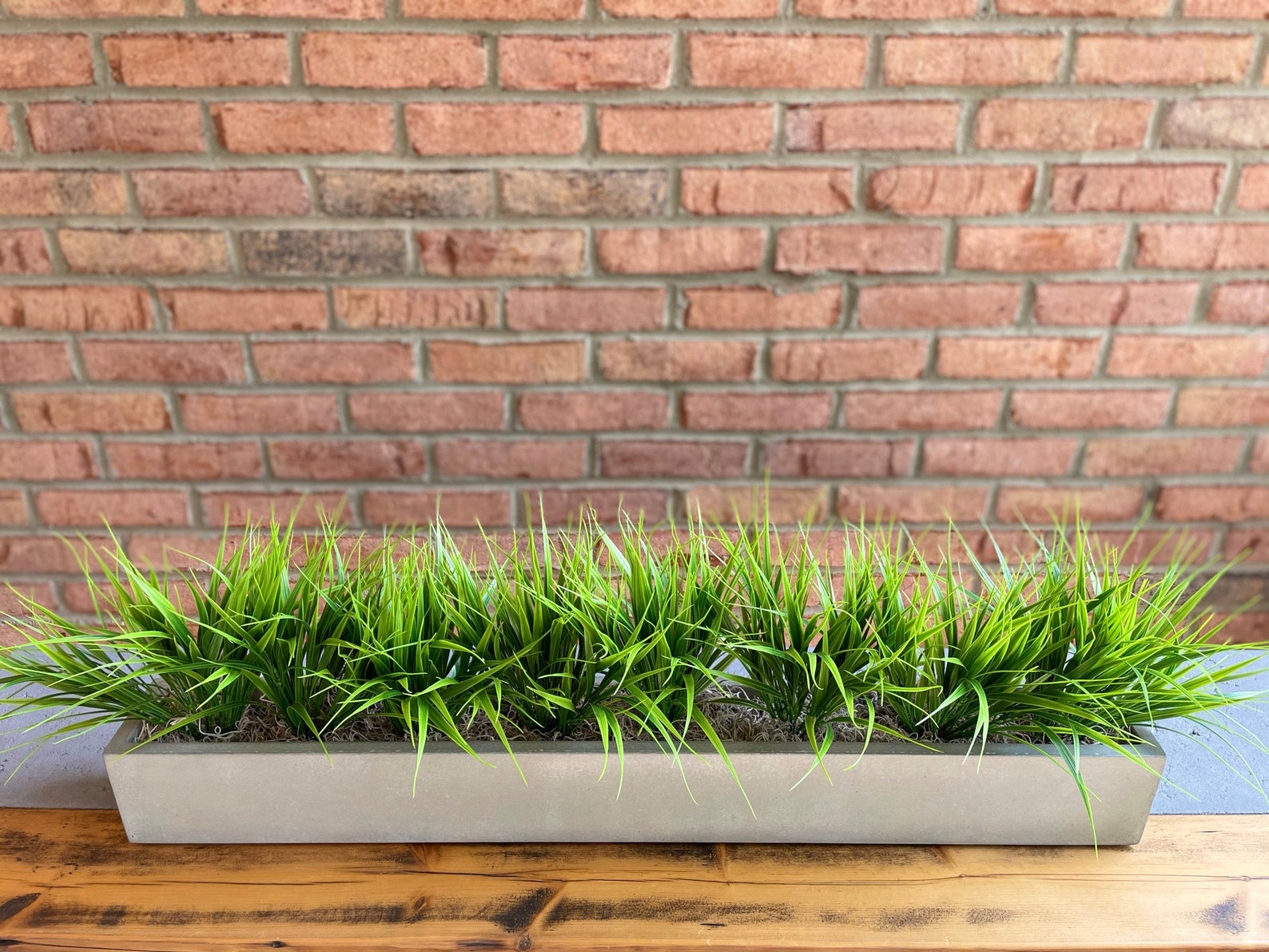 Trough Centerpiece Planter / Concrete / Dining Table Decor / Gift ...